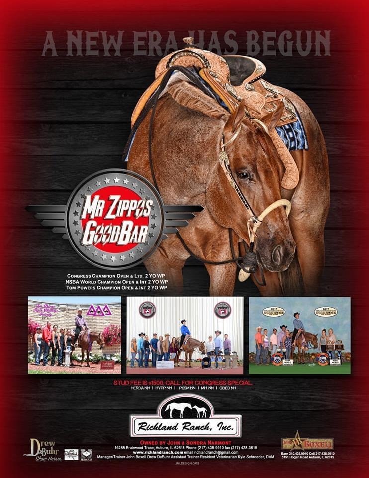 BLACK TYPE EXTENDED PEDIGREE ~ ONLINE SESSION – GOOD PULSE - Billings ...