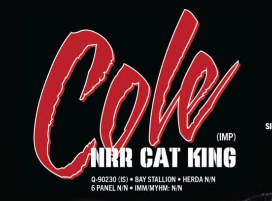 BLACK TYPE EXTENDED PEDIGREE ~ ONLINE SESSION – THE KINGS CATTYLAC ...